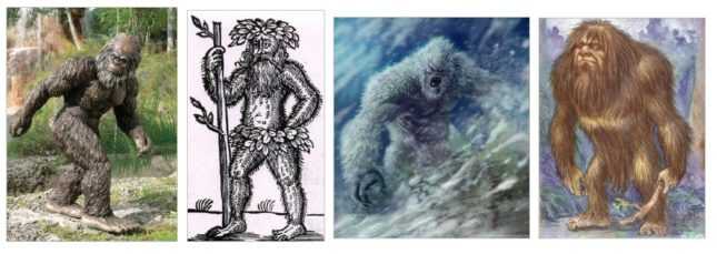 Ucumar, ese monstruo peludo del bosque que te paraliza el corazón ...